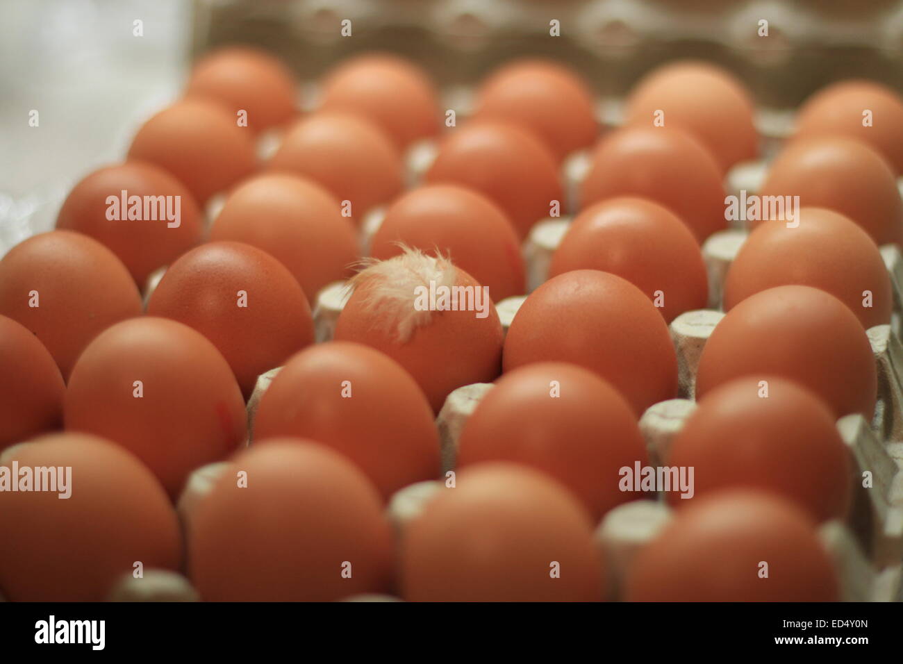 Egg rations hi-res stock photography and images - Alamy