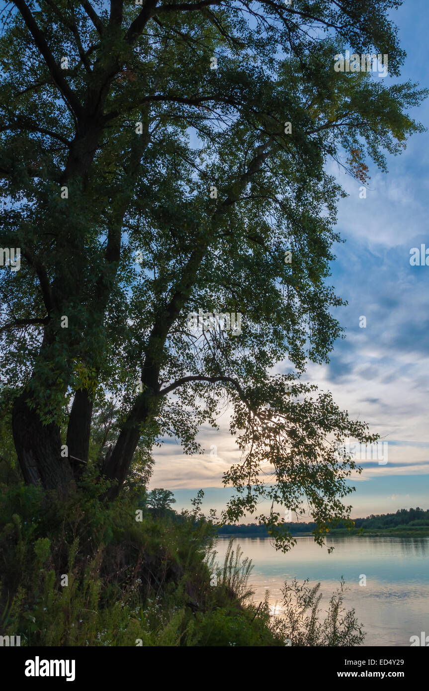 summer warm day, outdoor Stock Photo - Alamy