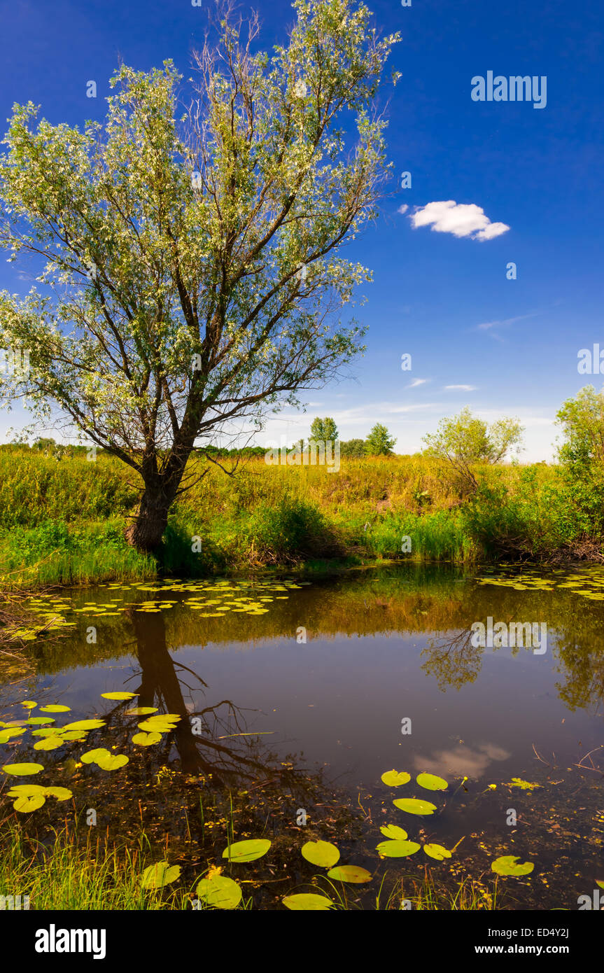 summer warm day, outdoor Stock Photo - Alamy
