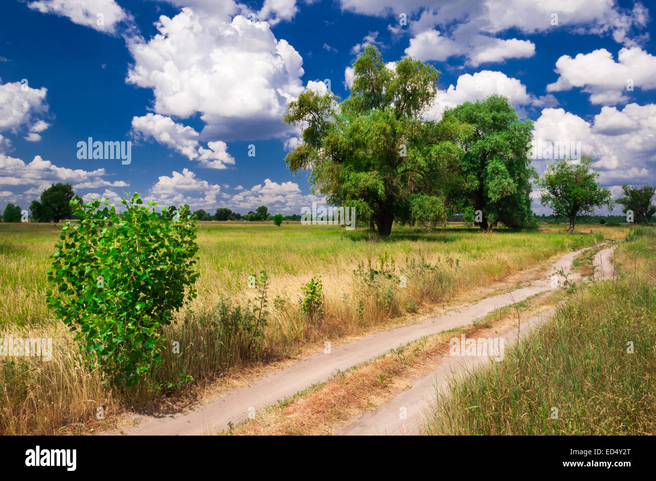 summer warm day, outdoor Stock Photo - Alamy