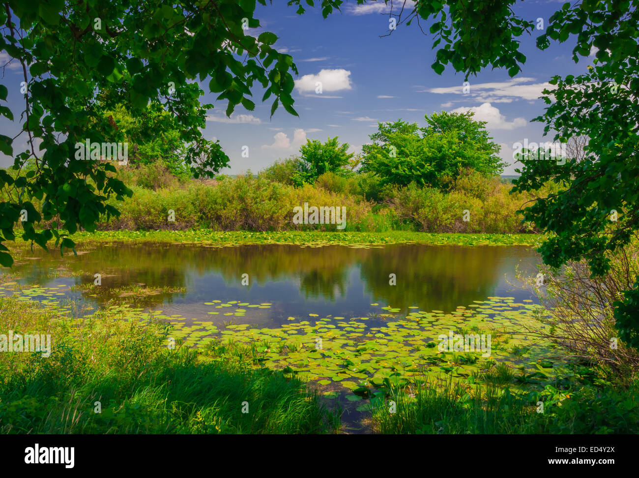 summer warm day, outdoor Stock Photo - Alamy