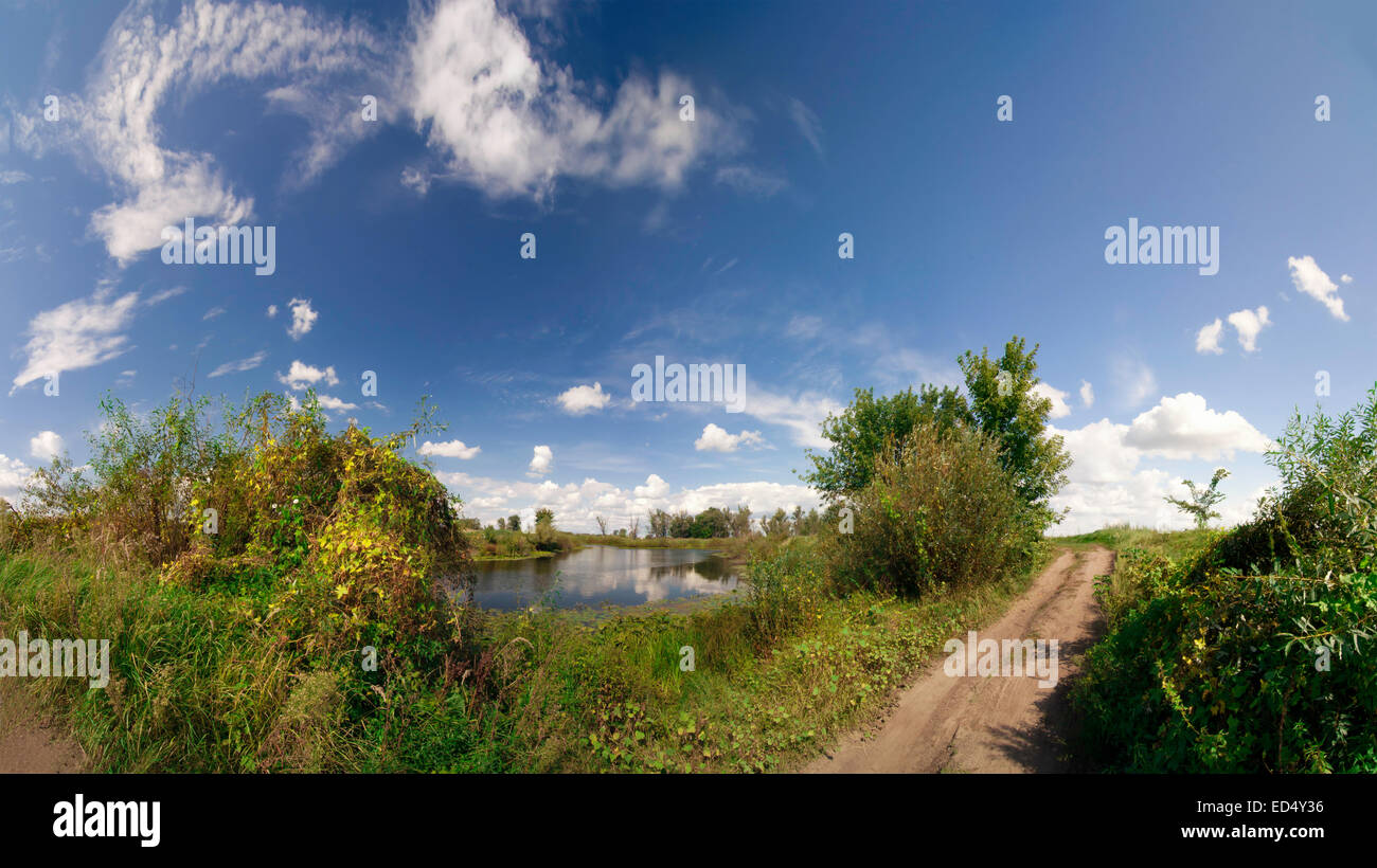 Beach beautiful sunset day tree sea seaside nature water hi-res stock ...