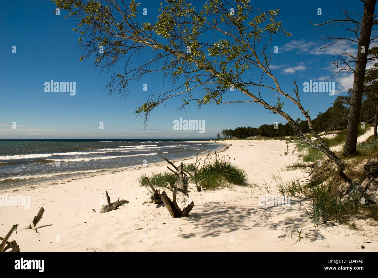 The South Coast of Bornholm Island in Denmark, near Dueodde, a popular ...