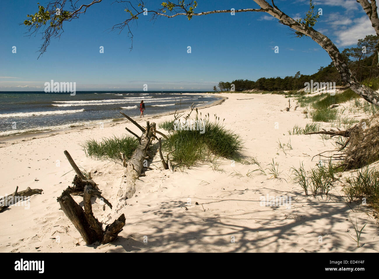 The South Coast of Bornholm Island in Denmark, near Dueodde, a popular ...