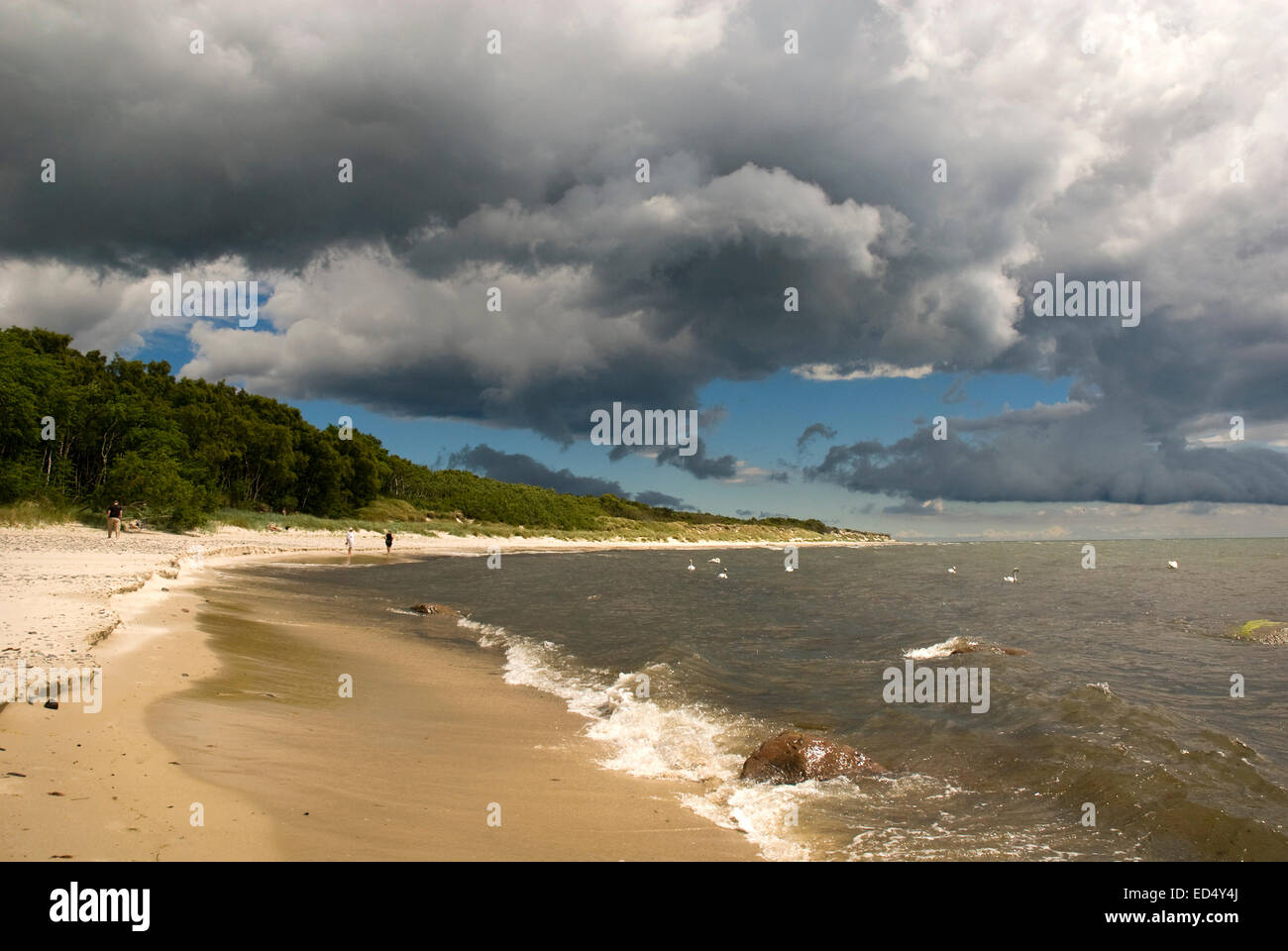 The South Coast of Bornholm Island in Denmark, near Dueodde, a popular ...