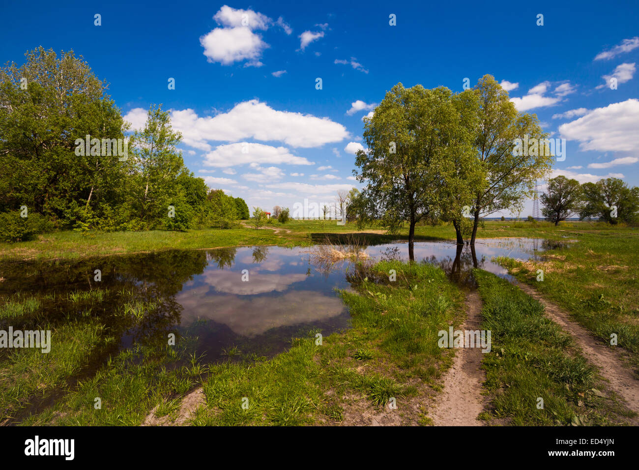 summer warm day, outdoor Stock Photo - Alamy