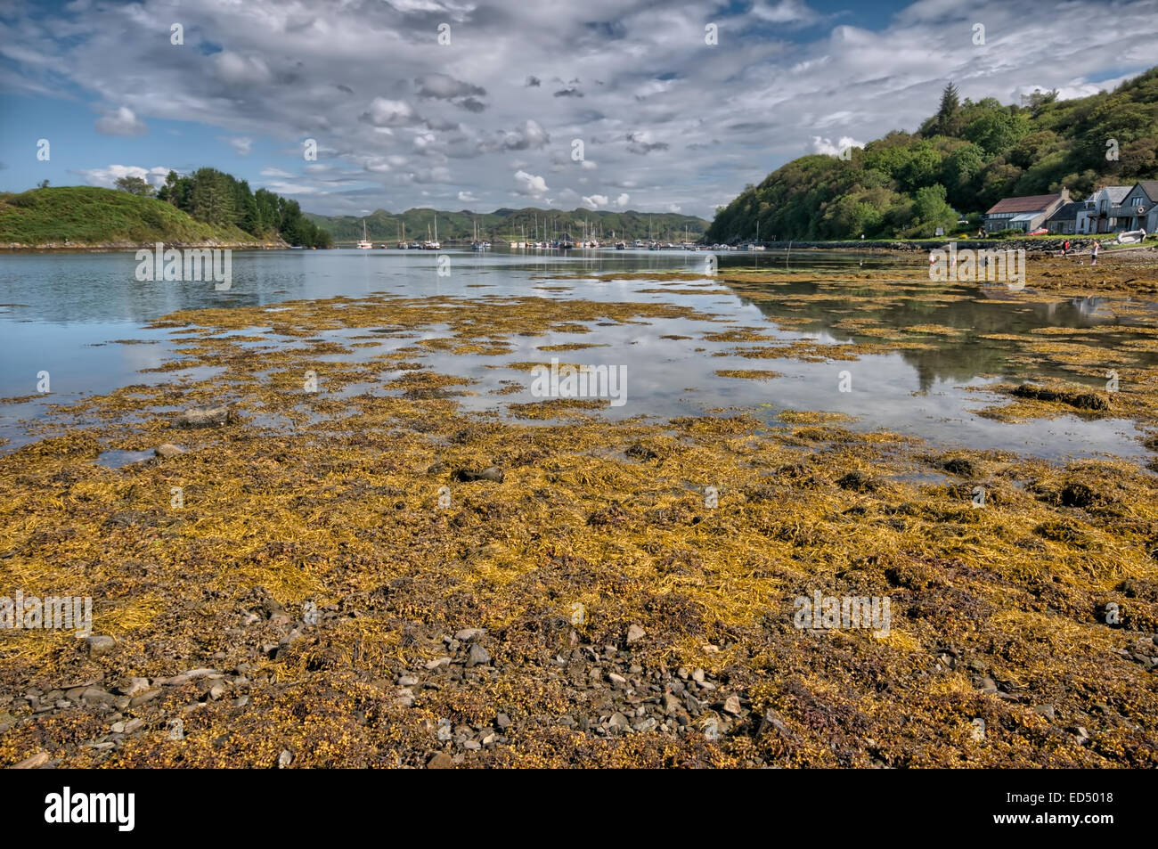 Crinan in west argyll scotland hi-res stock photography and images - Alamy