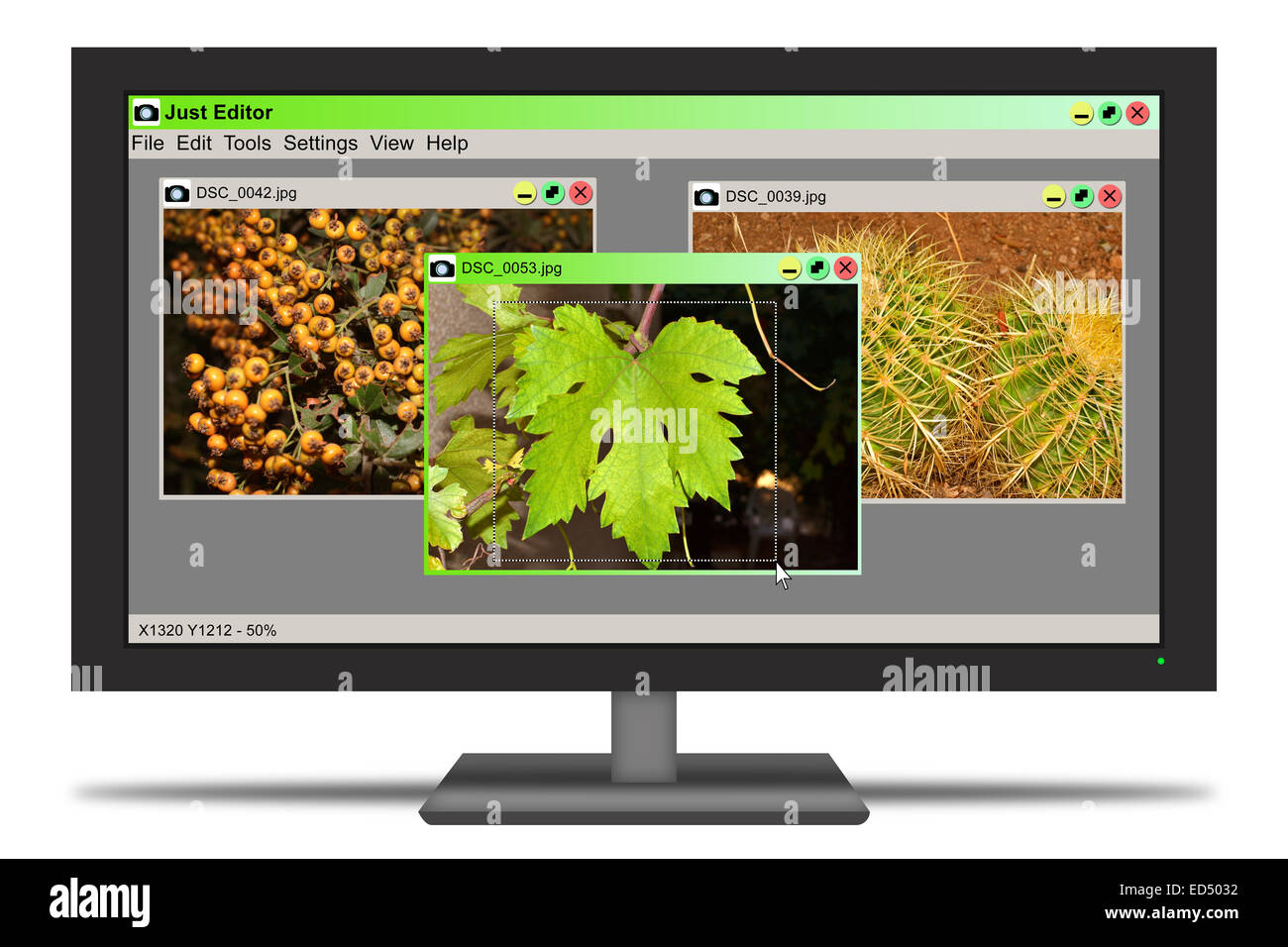 Screen showing a process of editing photos using a photo editor Stock ...