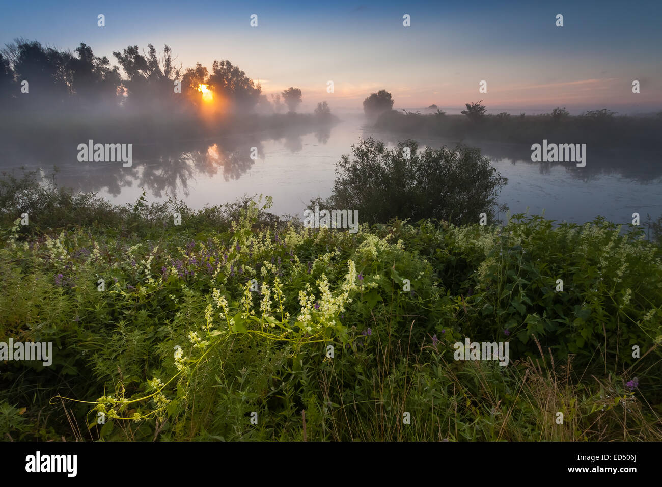 Amazingly beautiful sunrise over Lake, the foggy Stock Photo - Alamy