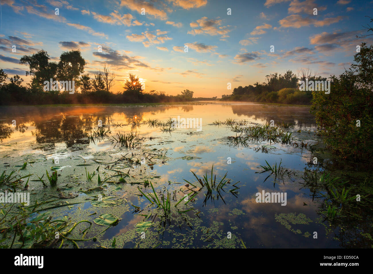 landscape sunset on the river, nature, spring Stock Photo - Alamy