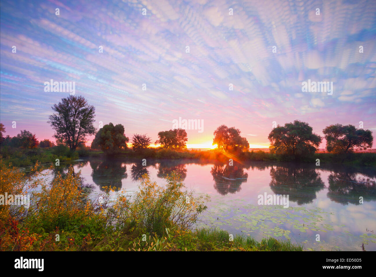 landscape sunset on the river, nature, spring Stock Photo - Alamy
