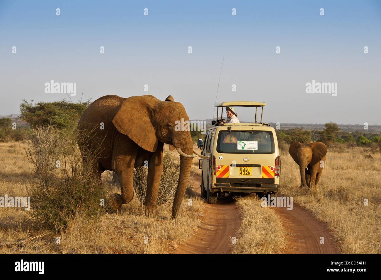 African safari vehicle hi-res stock photography and images - Alamy