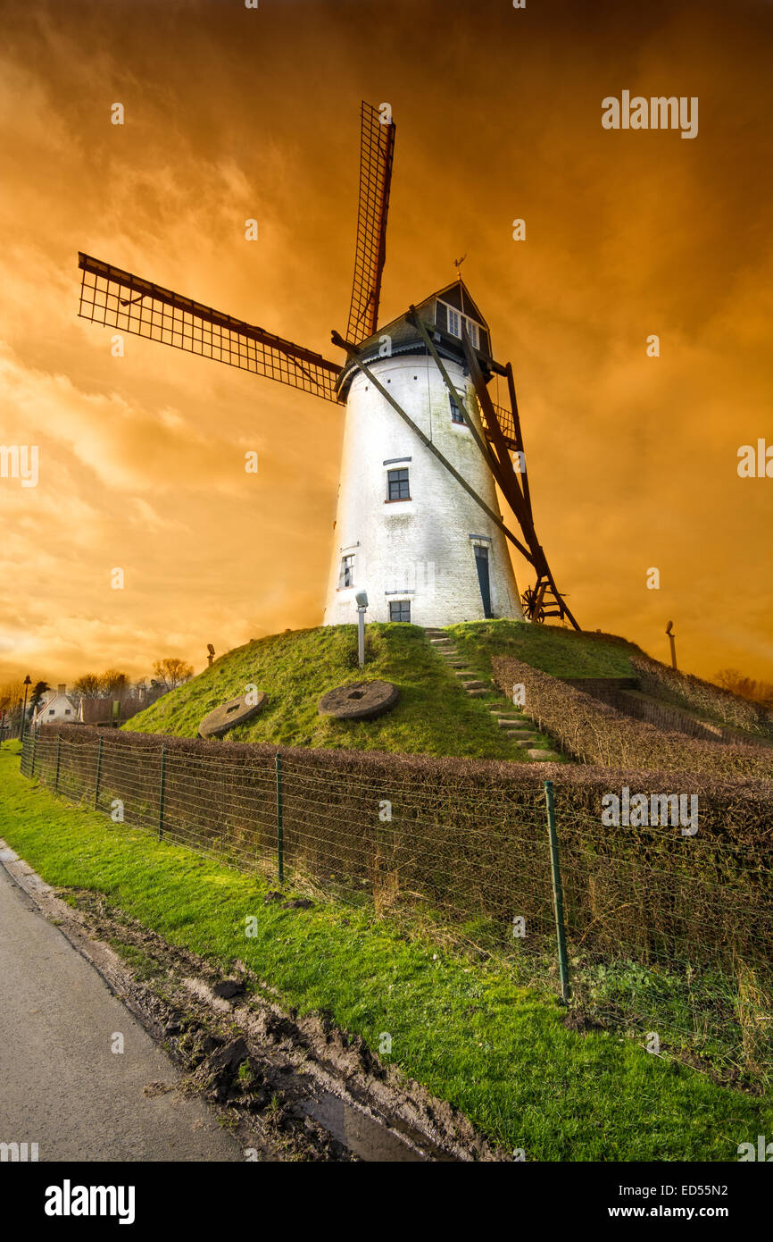 Windmill damme bruges belgium hi-res stock photography and images - Alamy