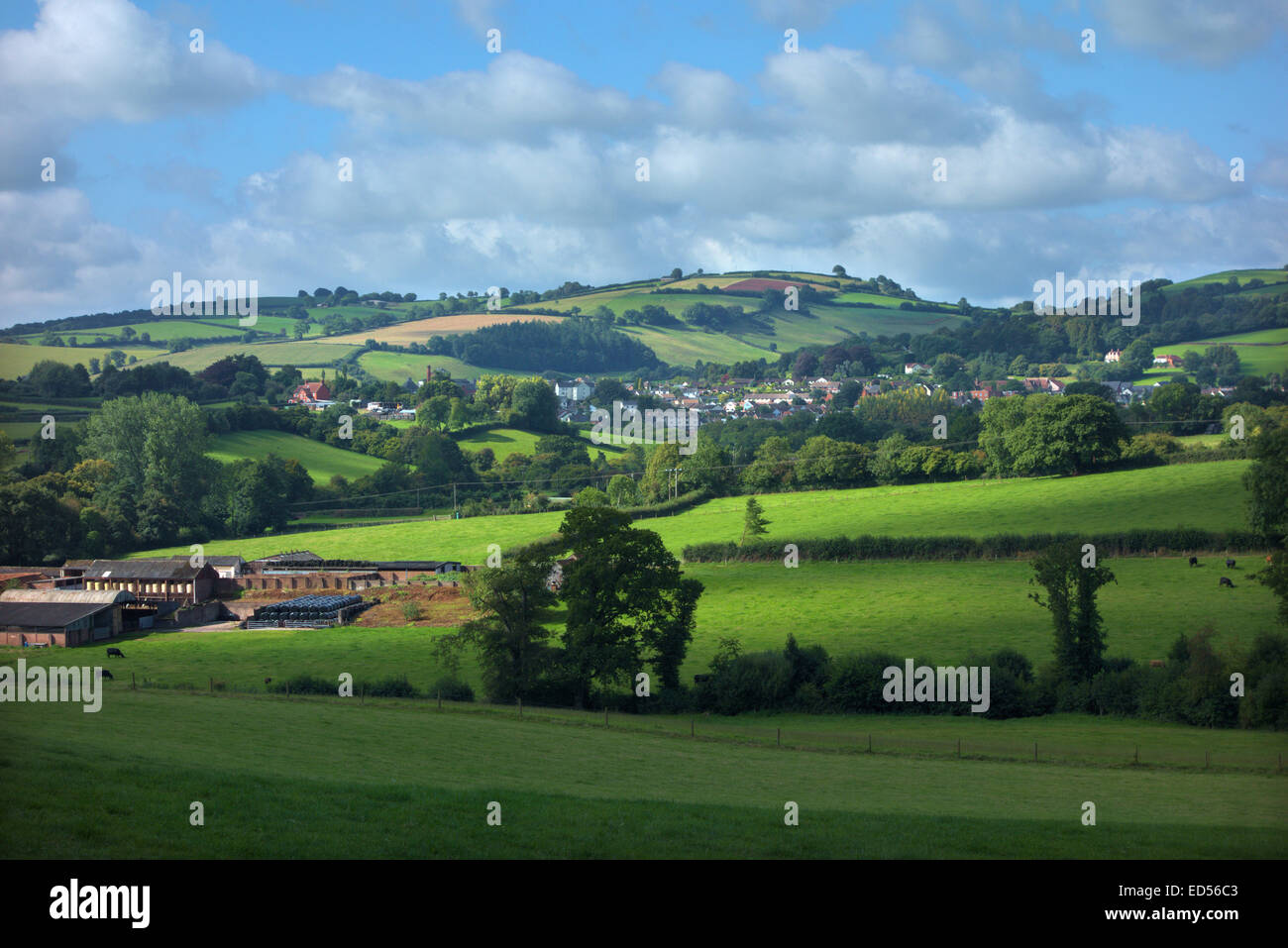 Wiveliscombe hi-res stock photography and images - Alamy