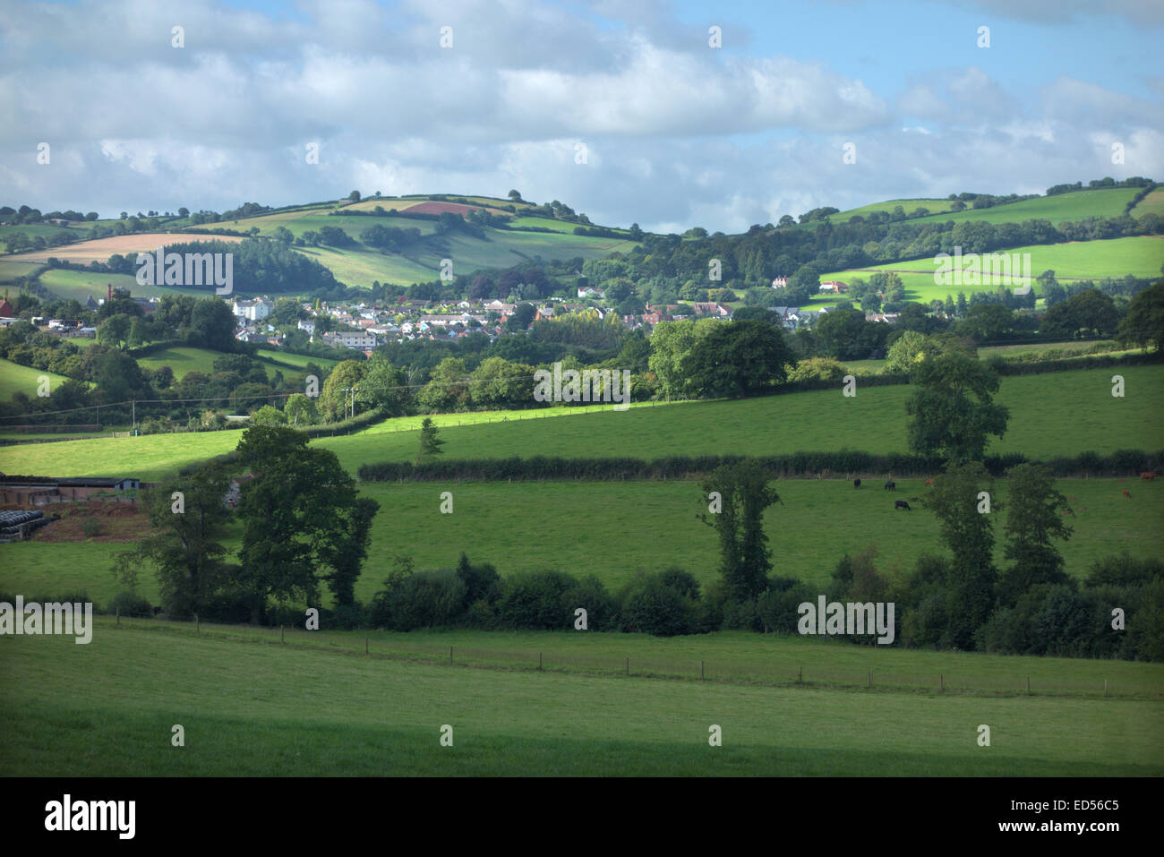 Wiveliscombe hi-res stock photography and images - Alamy