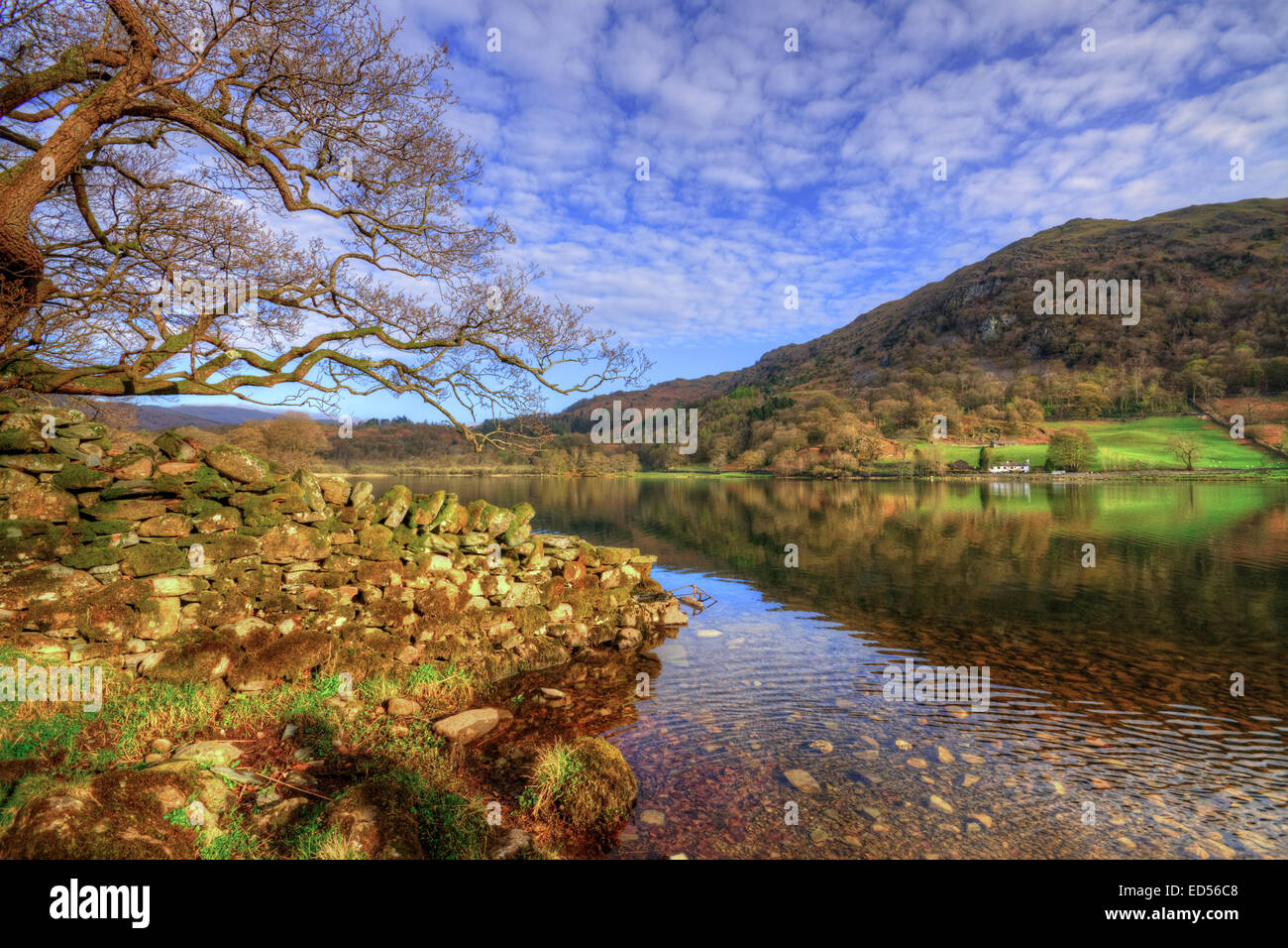 Rydal Water in the Lake District National Park, Cumbria Stock Photo - Alamy