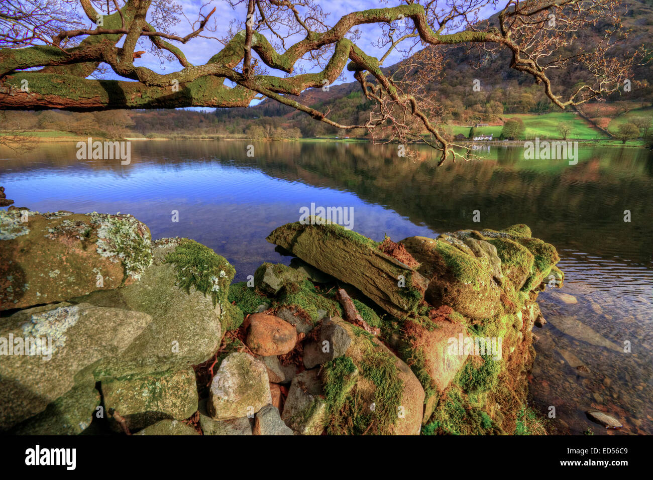 Rydal Water in the Lake District National Park, Cumbria Stock Photo - Alamy