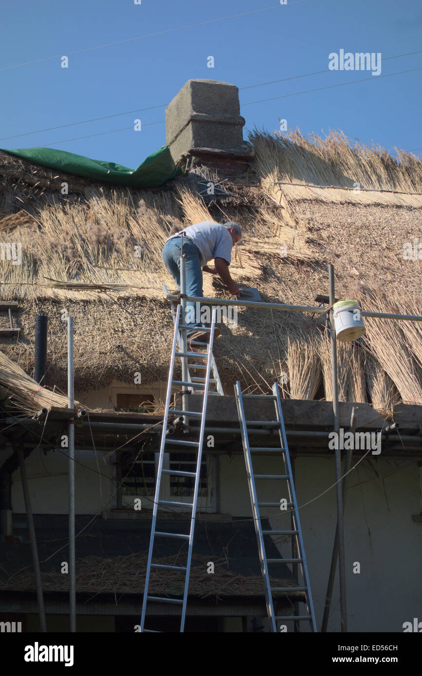 Reed cottage hi-res stock photography and images - Alamy