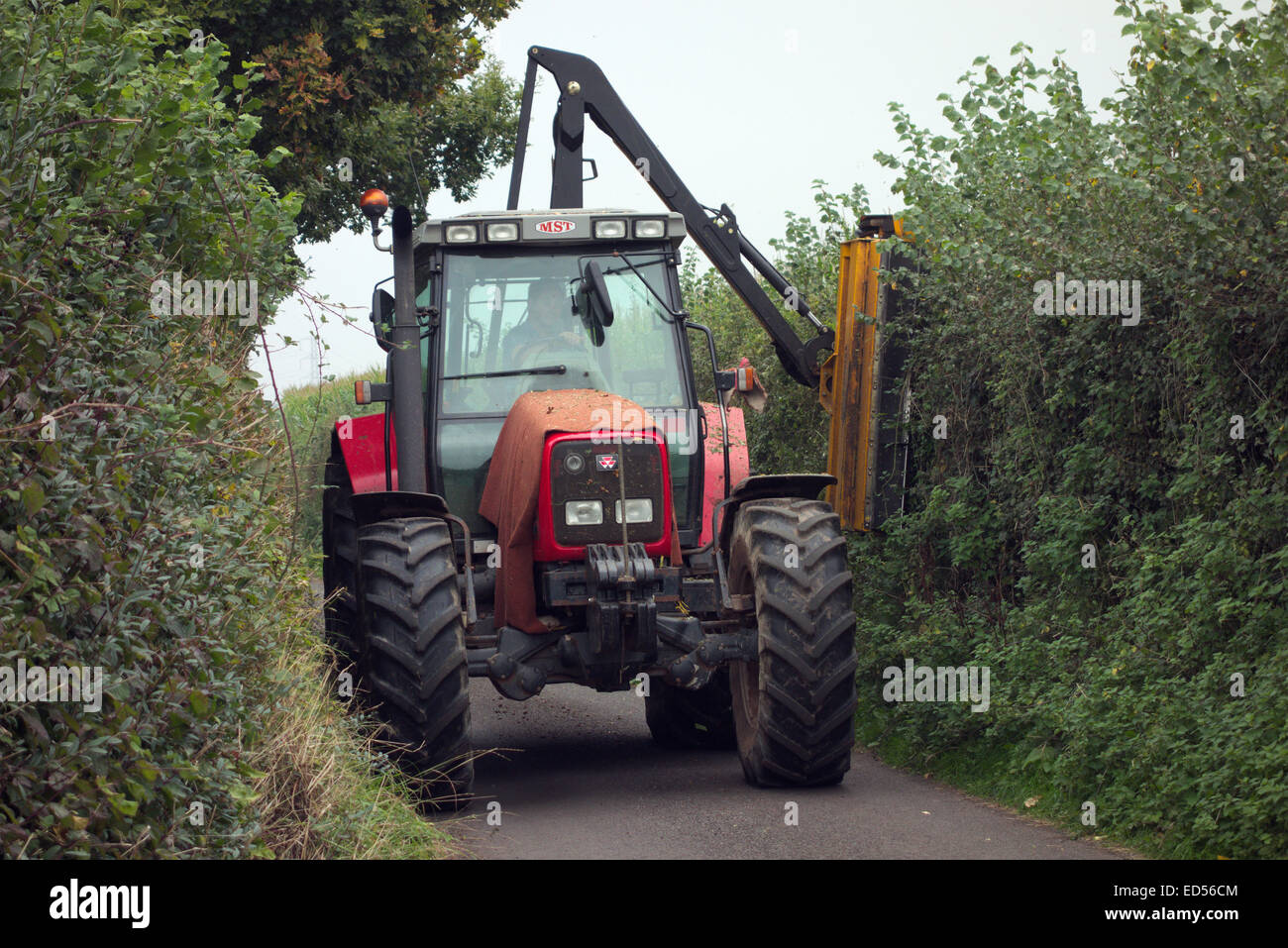 Hedge trimming with a tractor mounted flail mower, a Somerset lane, UK ...