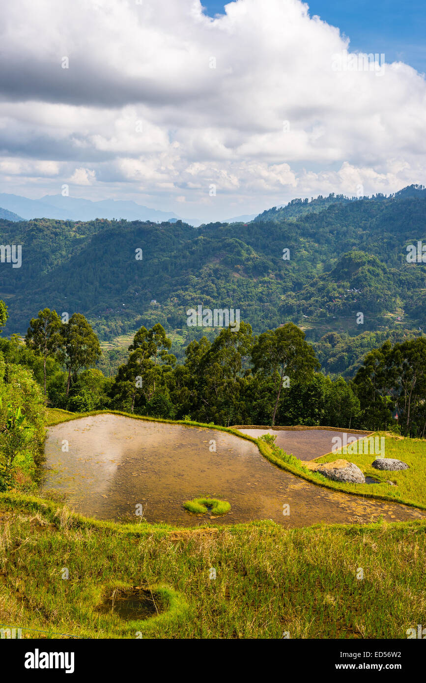 Batutumonga hi-res stock photography and images - Alamy