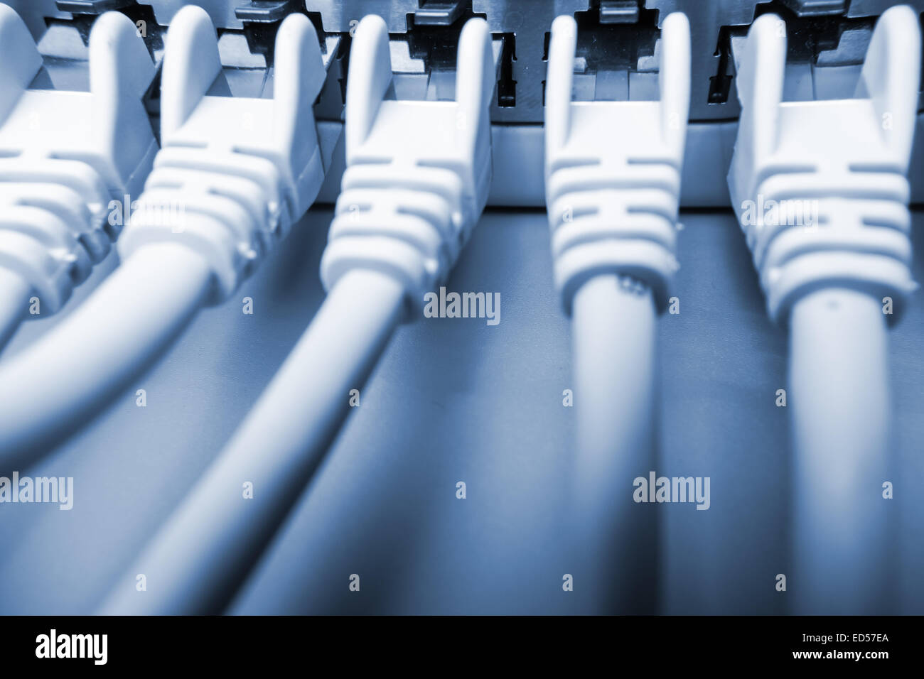 network cable on hub (internet Stock Photo - Alamy
