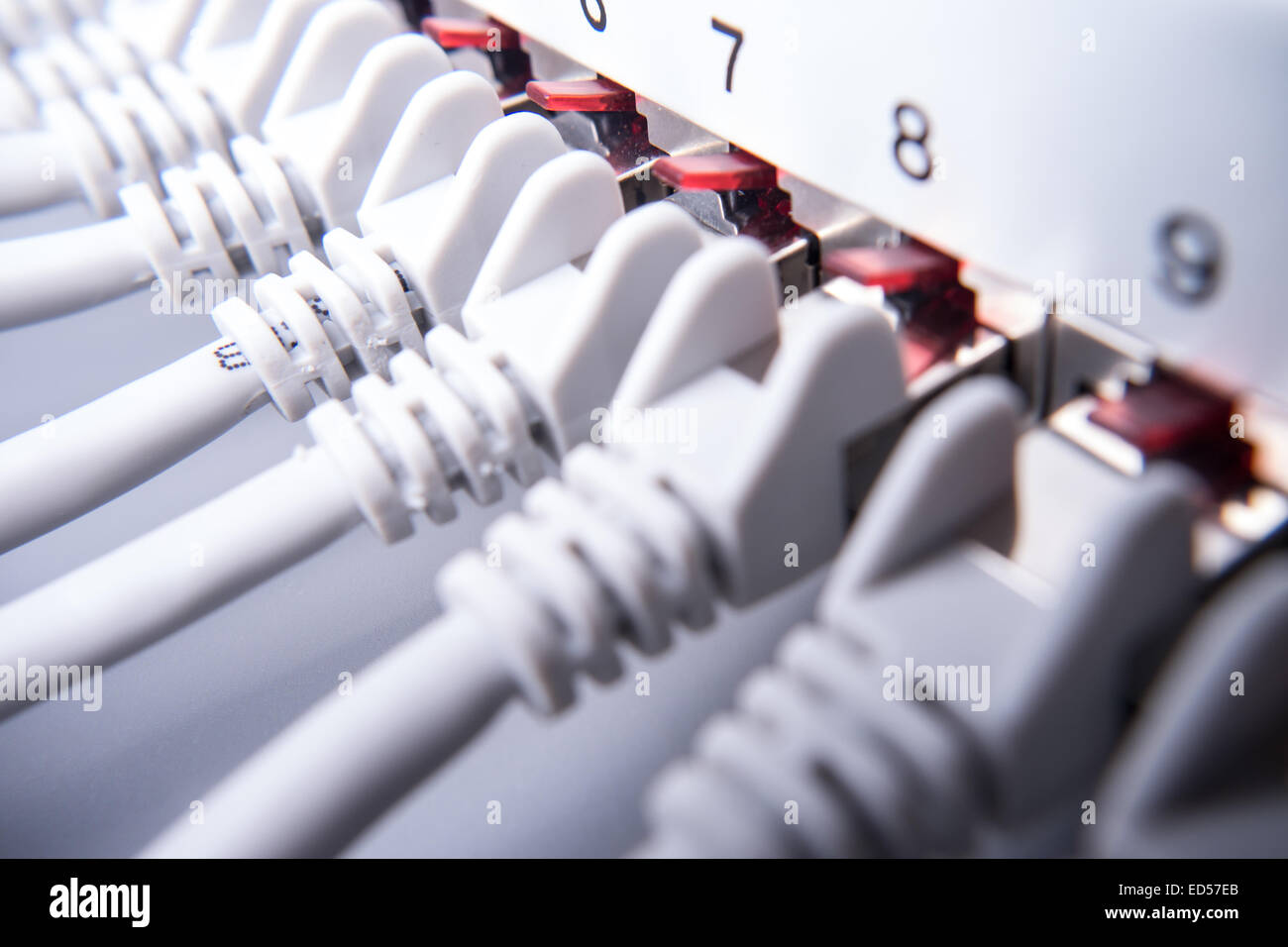 network cable on hub (internet Stock Photo - Alamy
