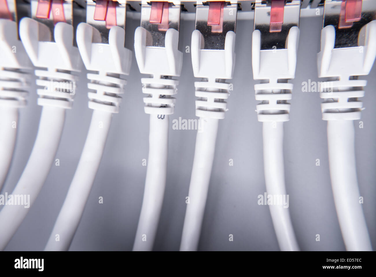 network cable on hub (internet Stock Photo - Alamy