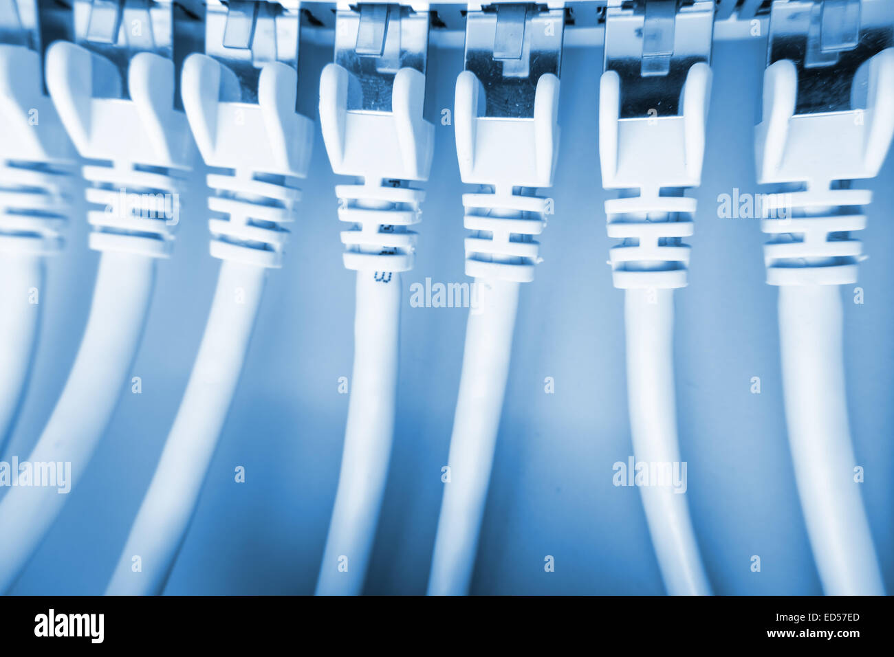 network cable on hub (internet Stock Photo - Alamy