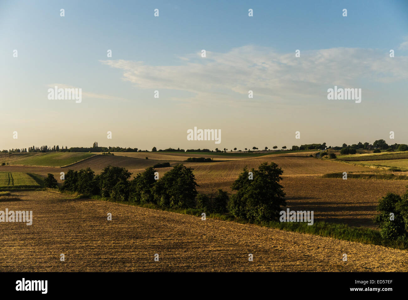 August in nature hi-res stock photography and images - Alamy