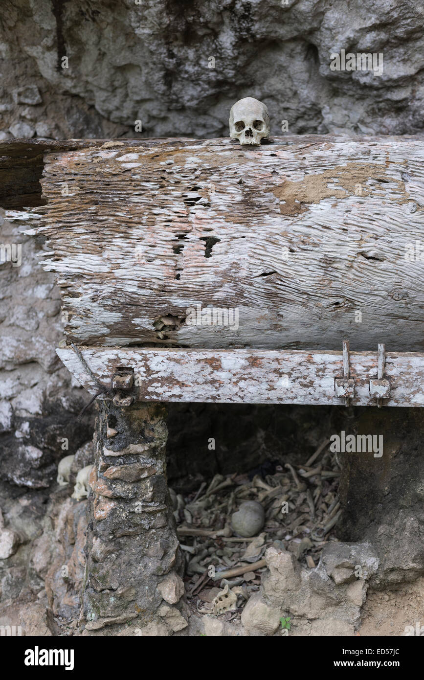 Human skeleton open grave hi-res stock photography and images - Alamy