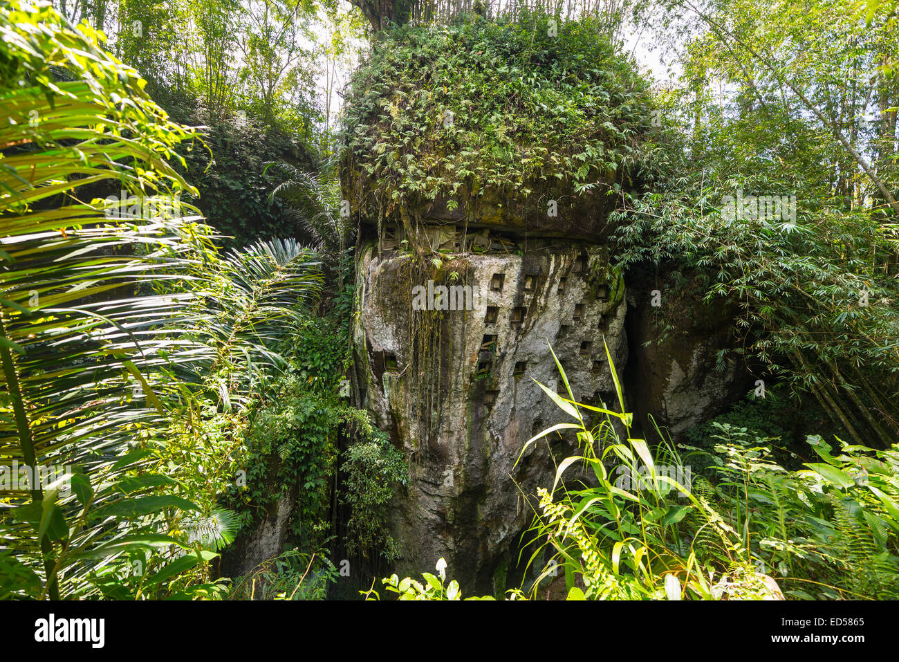 Traditional burial site of outstanding beauty with coffins placed in ...