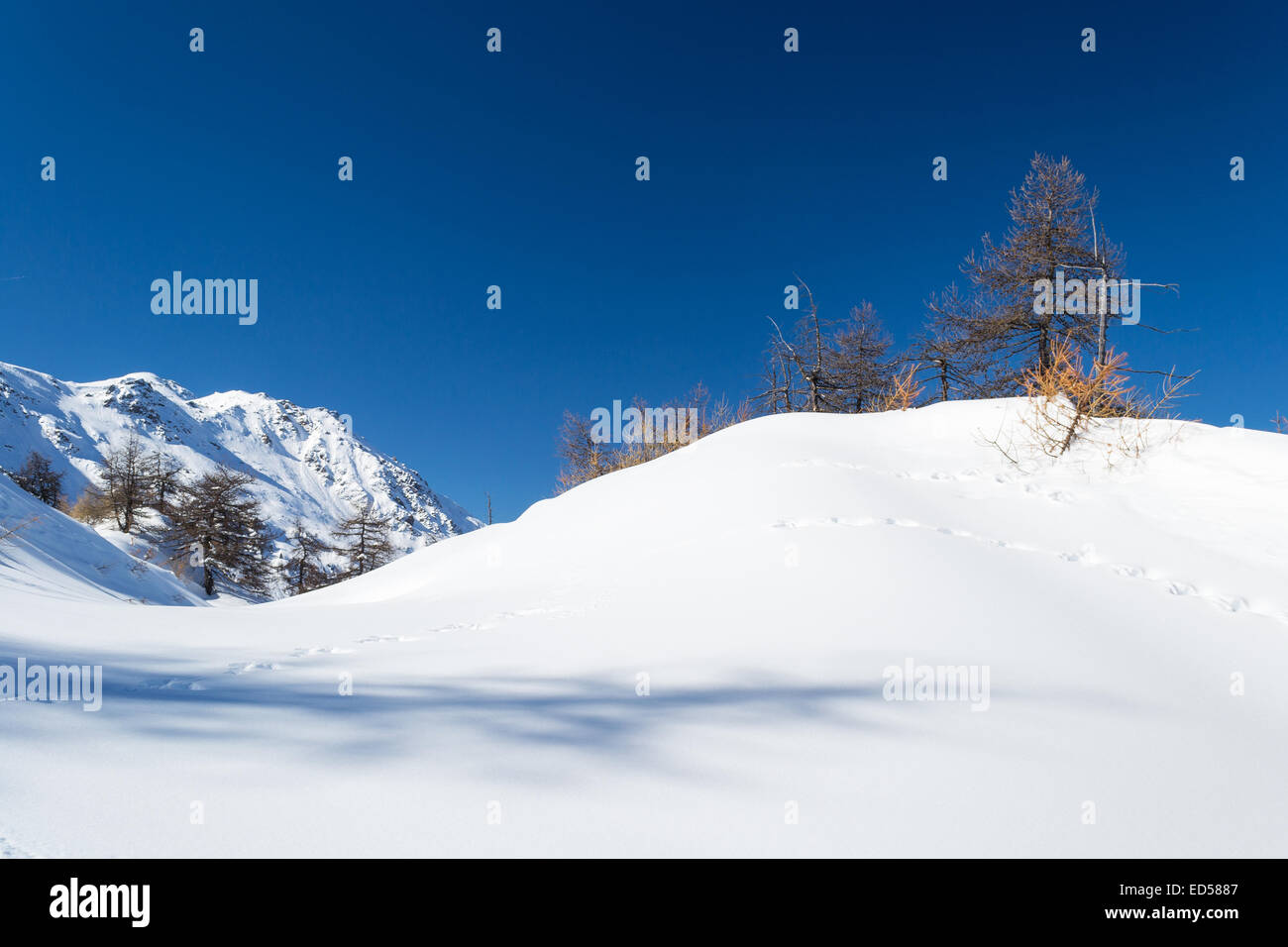 Majestic peaks in a winter scenery and candid ski slope with freeride ...