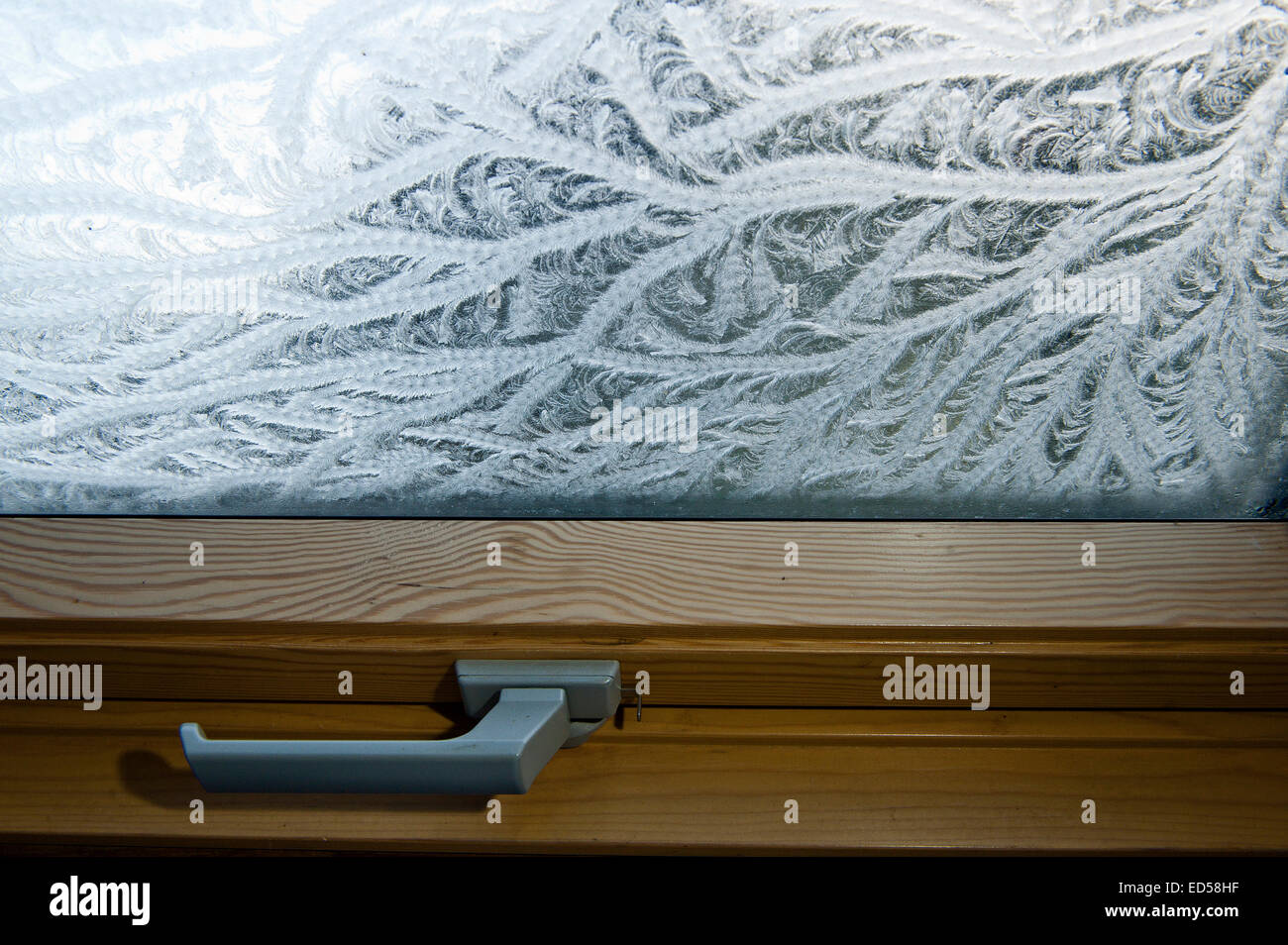 Builth Wells, Powys, Wales, UK. 28th December, 2014. Beautiful 'Fern ...