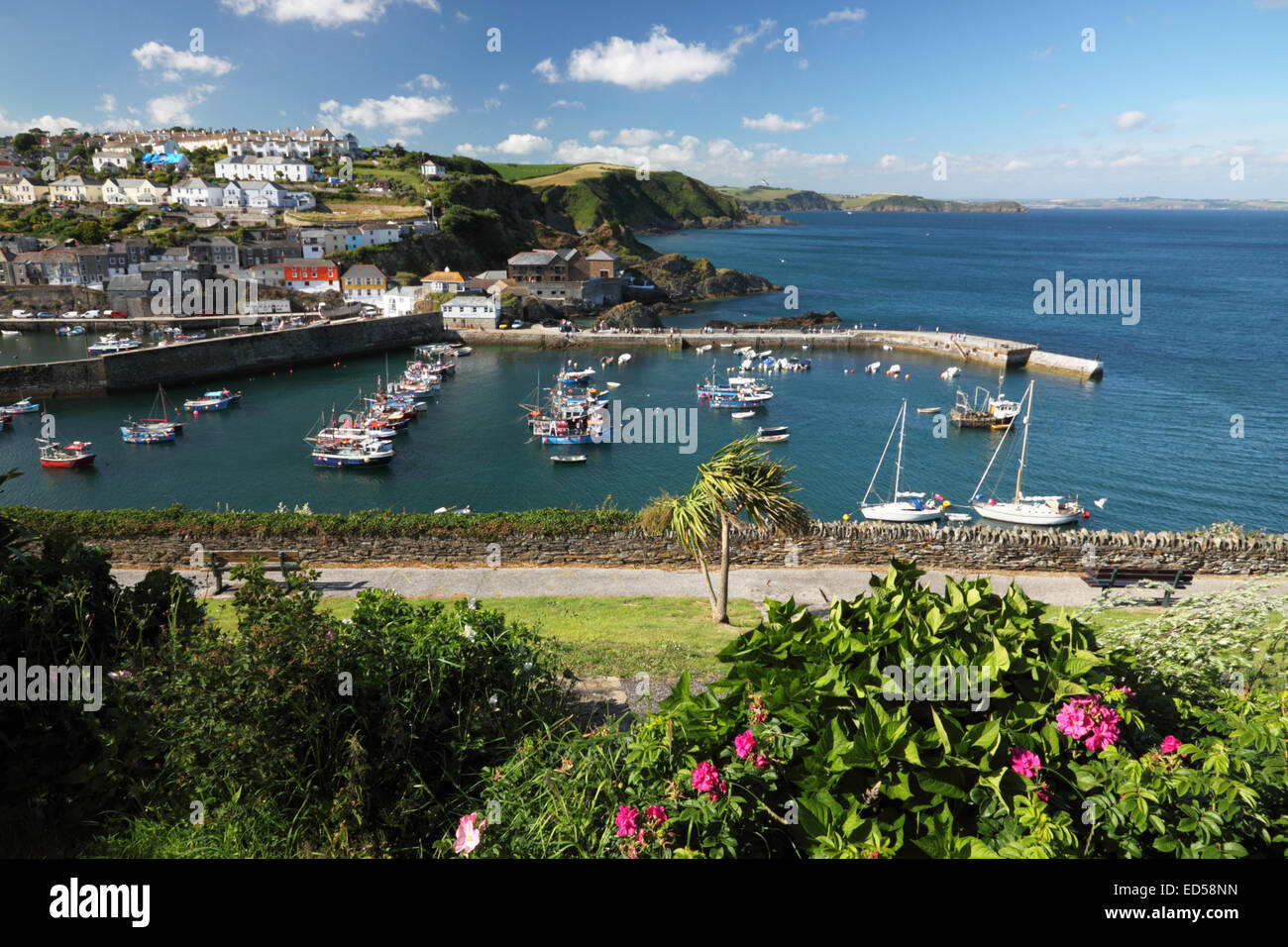 A Cornish fishing harbour with boats, roses, a quay and colourful ...