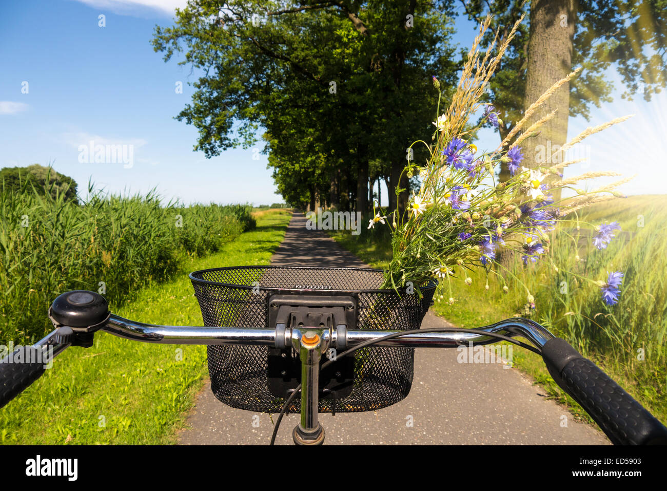 cycling on way in landscape with sunlight and blue sky Stock Photo - Alamy