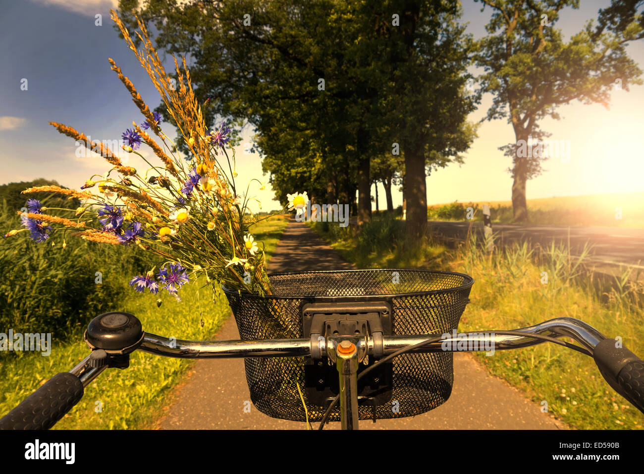 cycling on a way in landscape in sunset Stock Photo - Alamy