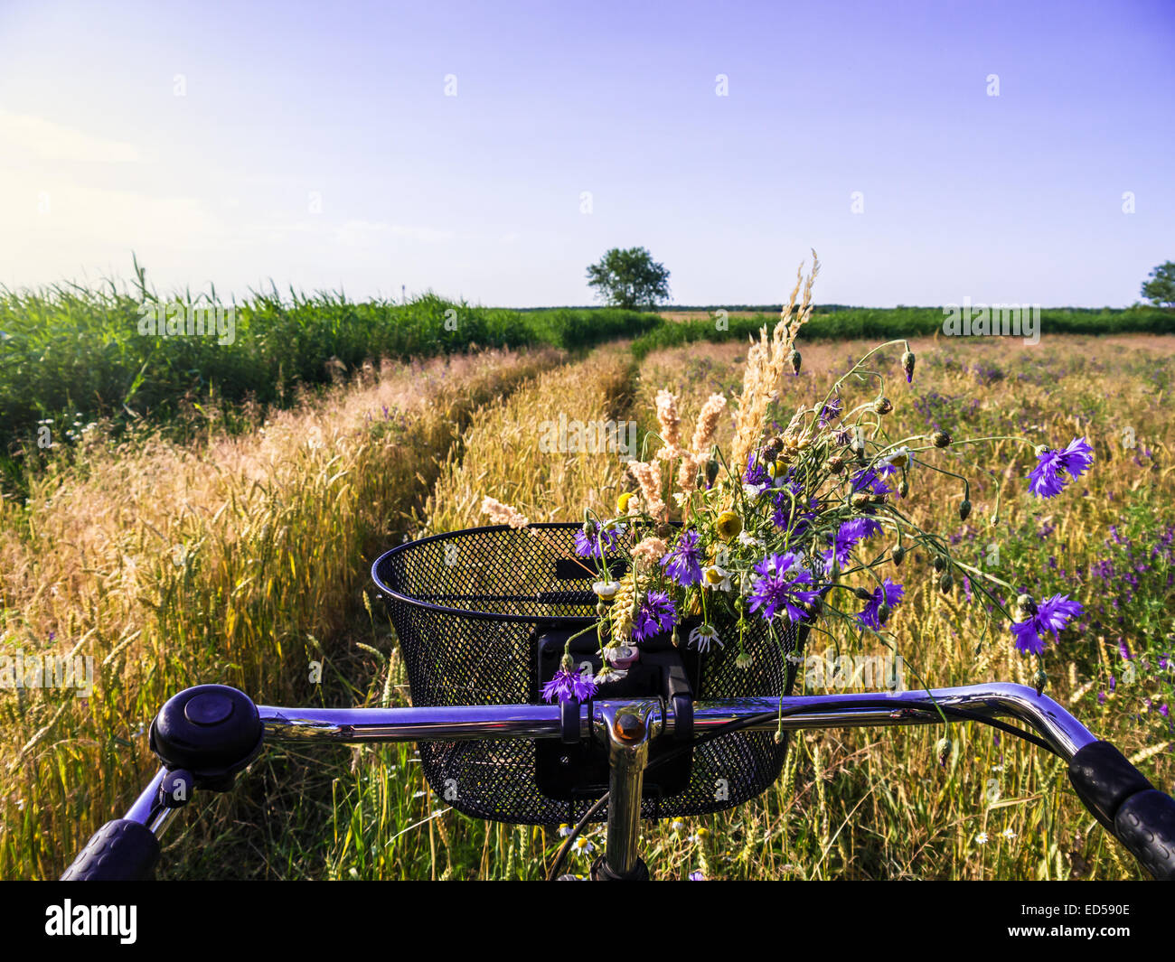 Cycle of corn hi-res stock photography and images - Alamy