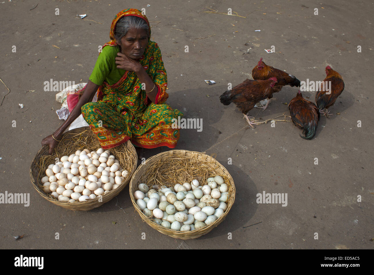 Dhaka, Bangladesh. 28th Dec, 2014. Shafia begum a climate refugee ...