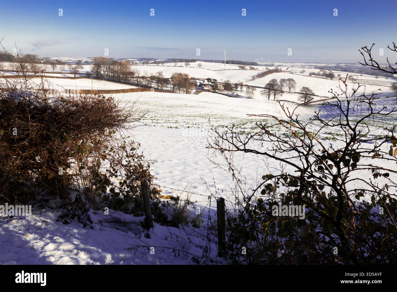 Nottinghamshire Countryside High Resolution Stock Photography and ...
