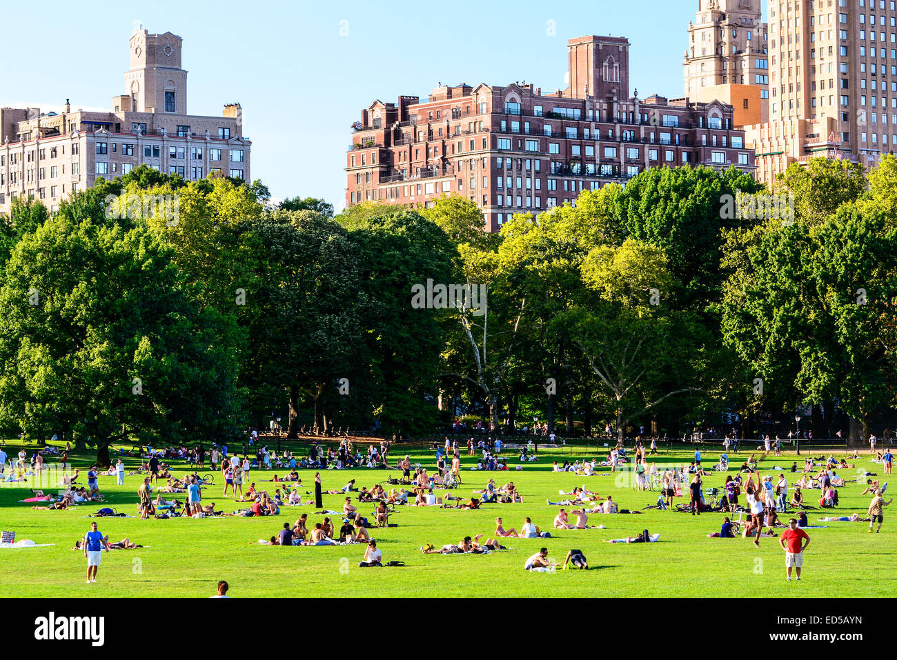 Sheep meadow central park hi-res stock photography and images - Alamy