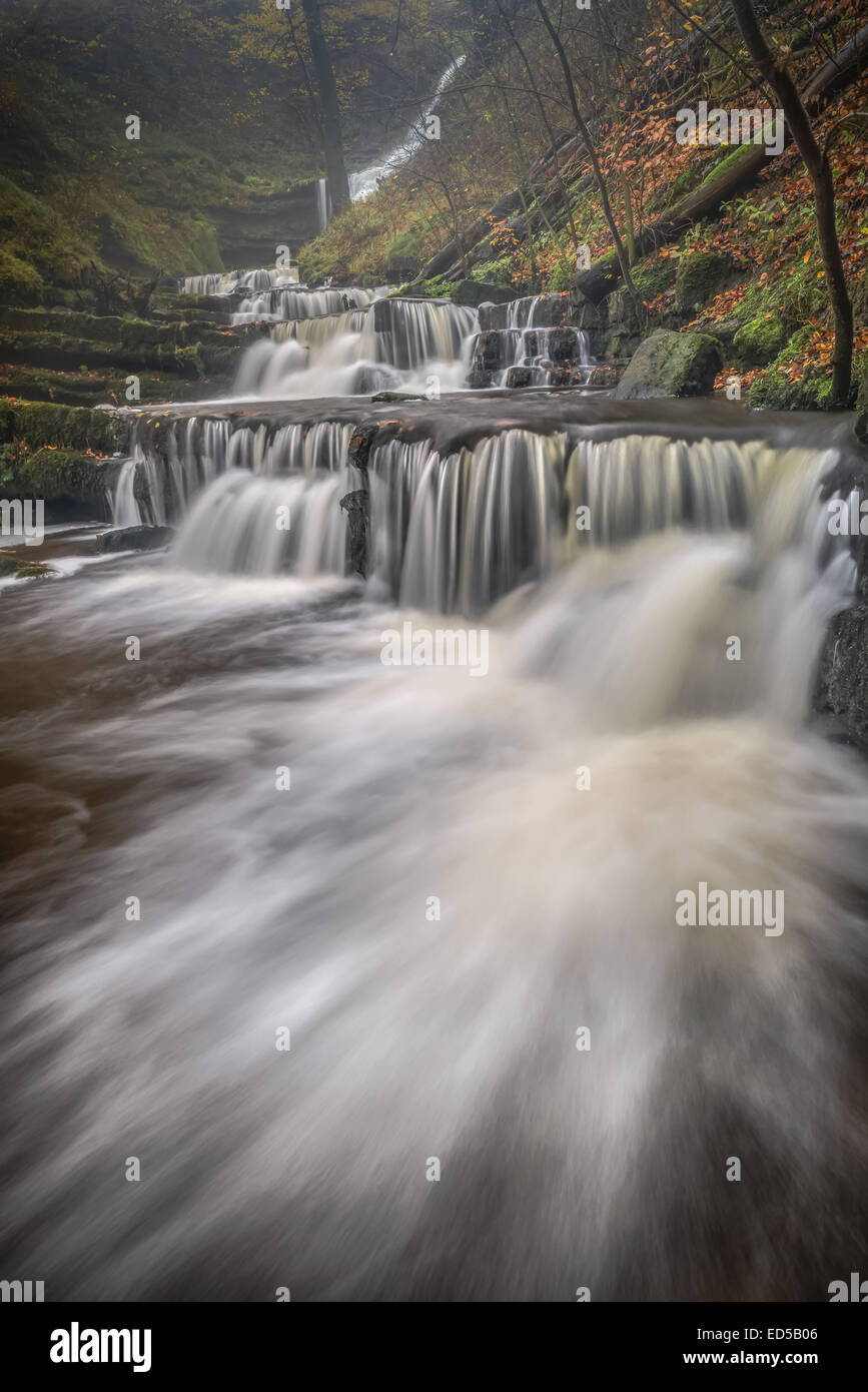 Scalebar High Resolution Stock Photography and Images - Alamy