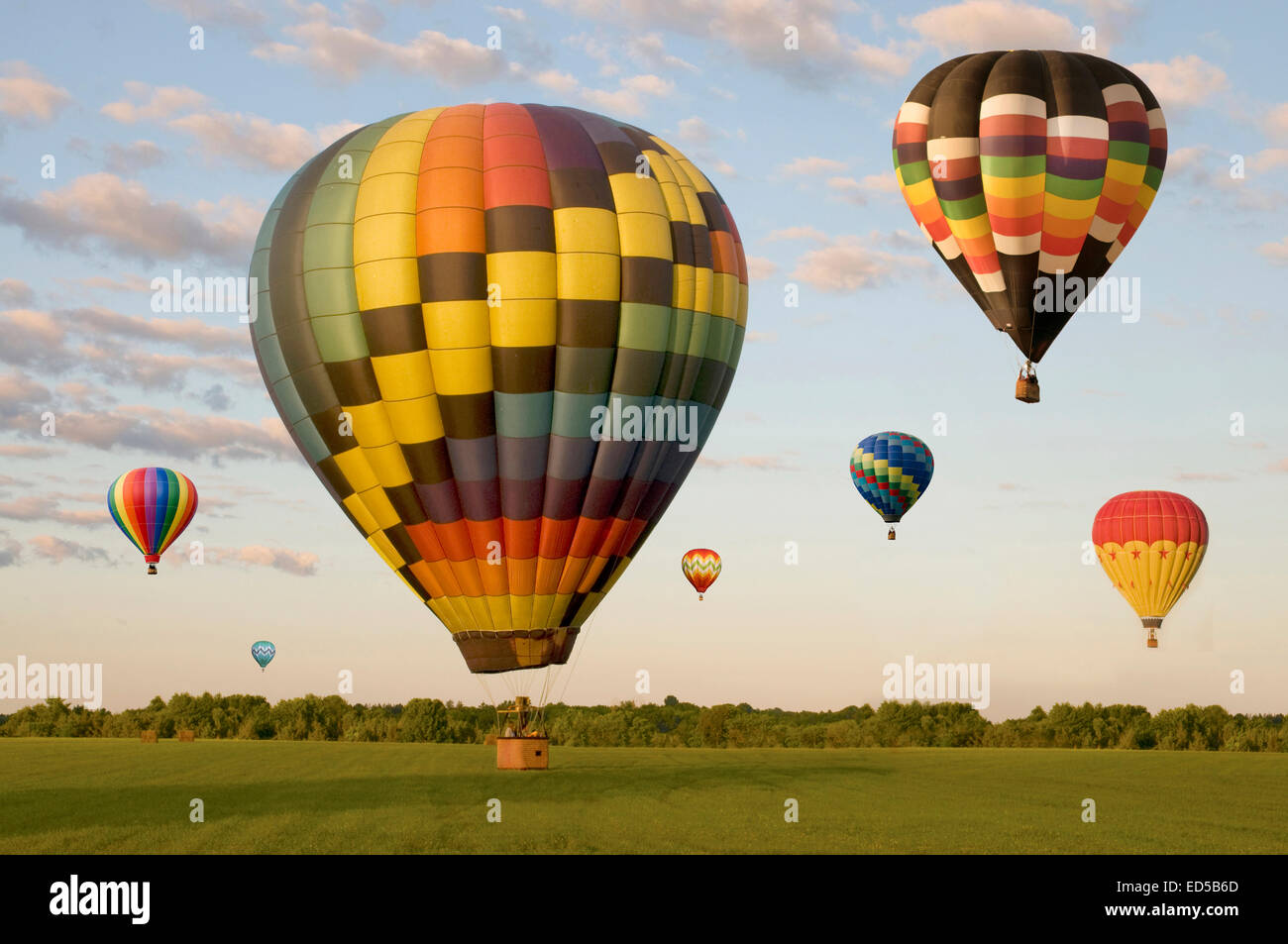 Various hot-air balloons landing in a field. One is on the ground ...