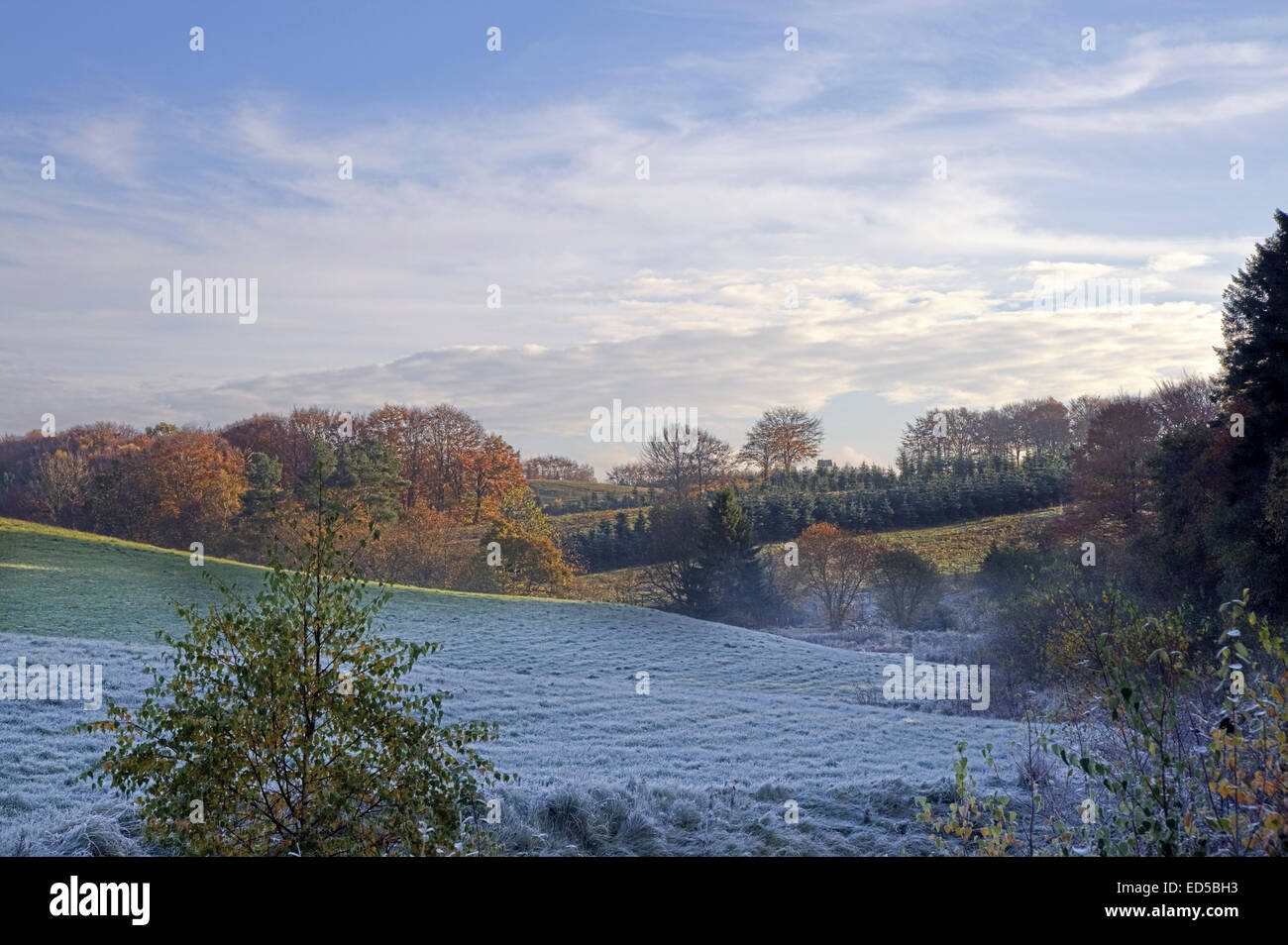 Danish landscape in the early morning. Autumn Stock Photo - Alamy