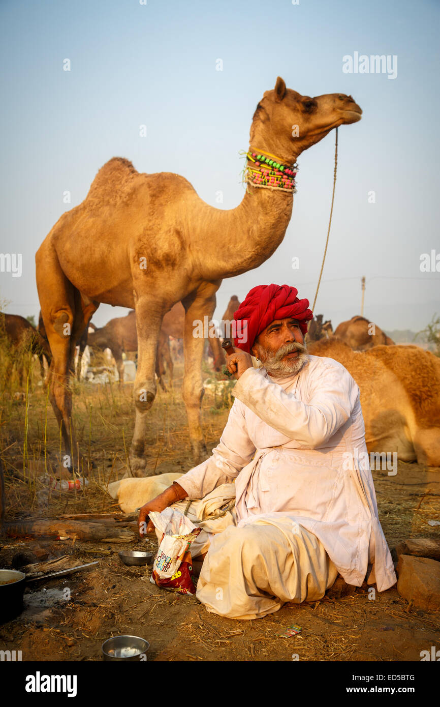 Indian camel driver wearing a red turban seated at campfire with camels ...
