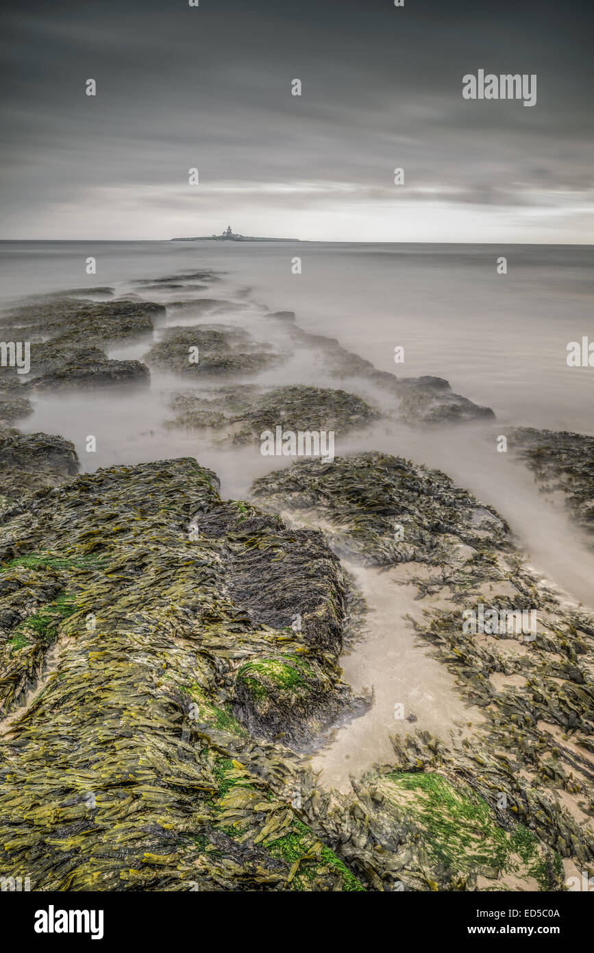 Reef points hi-res stock photography and images - Alamy