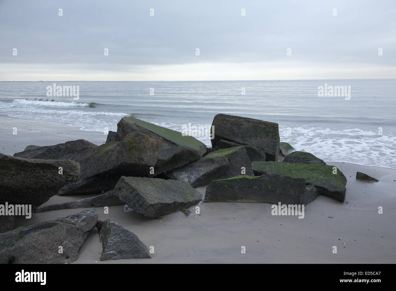 Rocks on the beach at Coney Island, Brooklyn, NY Stock Photo - Alamy