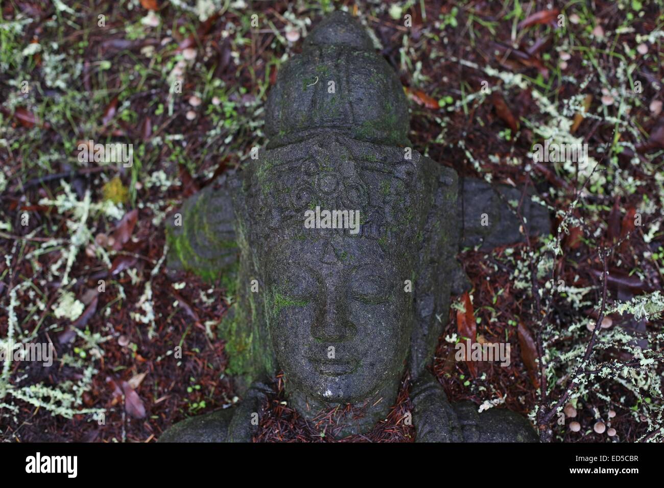 A mossy goddess statue lying on a forest floor Stock Photo - Alamy
