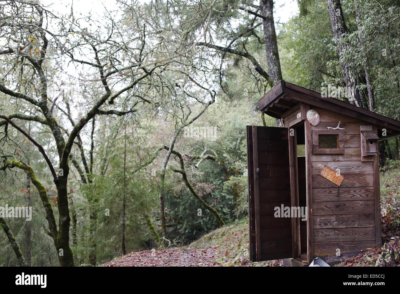 An old wooden outhouse in the woods Stock Photo - Alamy