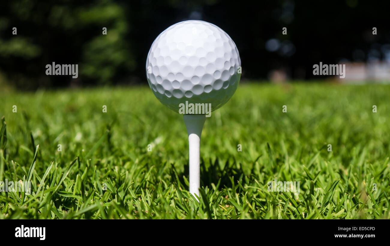 golf ball on green meadow in summer Stock Photo - Alamy