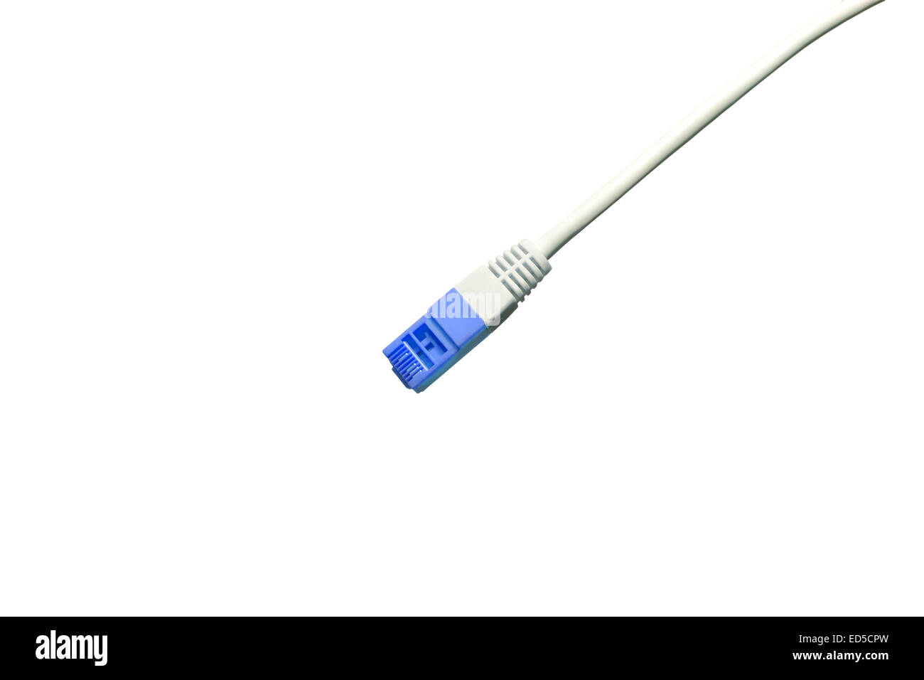 lan cable isolated (white background Stock Photo - Alamy